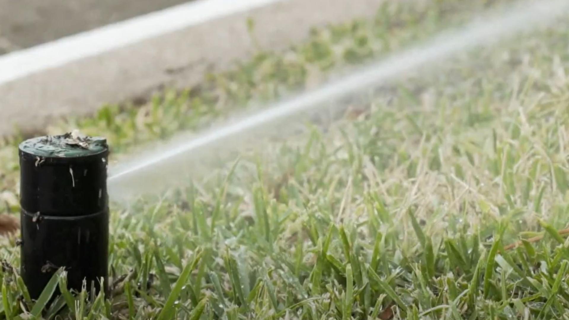 Central Iowa lawn watering ban holds as nitrate levels remain high ...