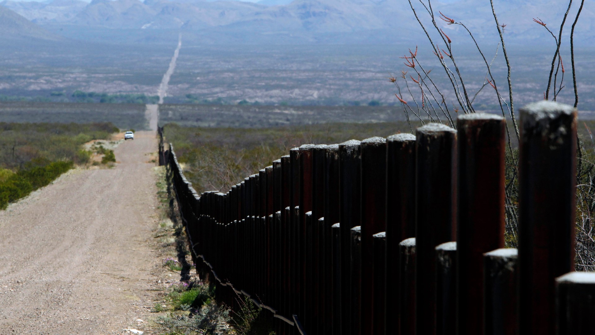 Border arrests fall more than 40% since halt to asylum processing ...