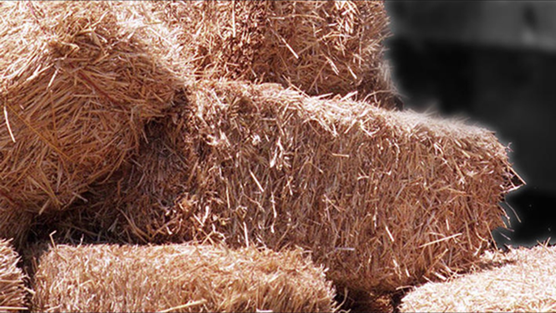 Cumberland County child killed in hay bale incident | fox43.com