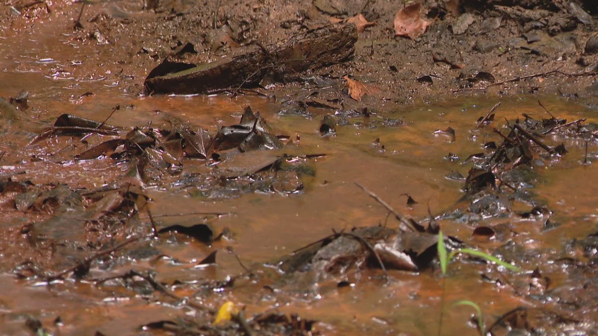 Toxic orange goo seeps from abandoned Missouri landfill. No one is ...