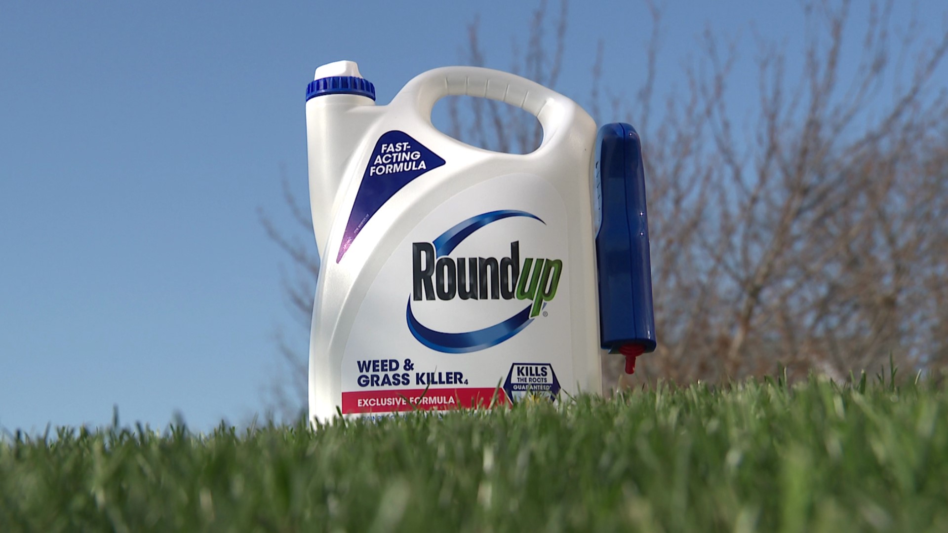 Bayer seeks US Supreme Court help in Roundup cancer lawsuit fight ...
