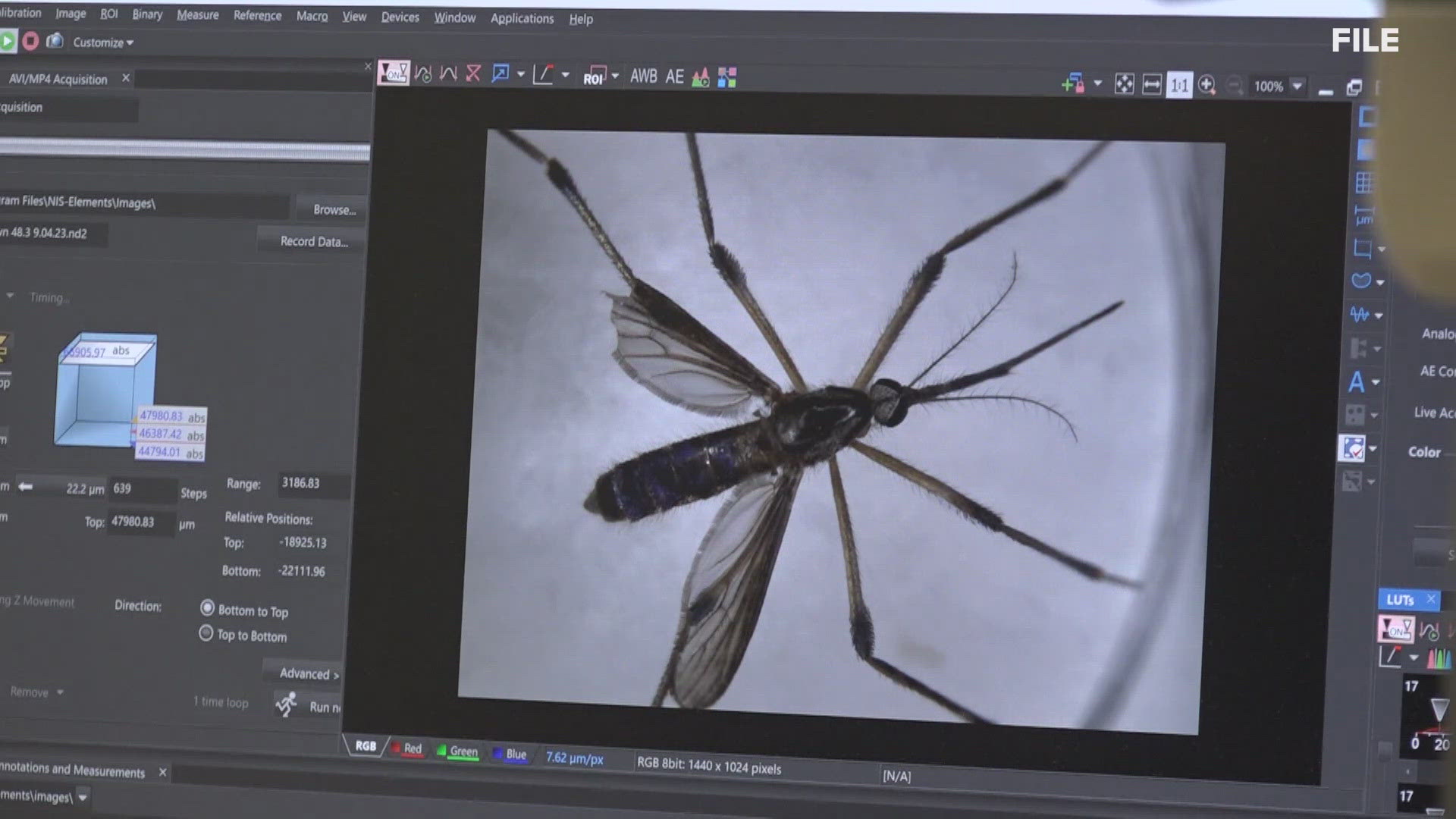 Missouri radio host dies after contracting West Nile virus | 10tv.com