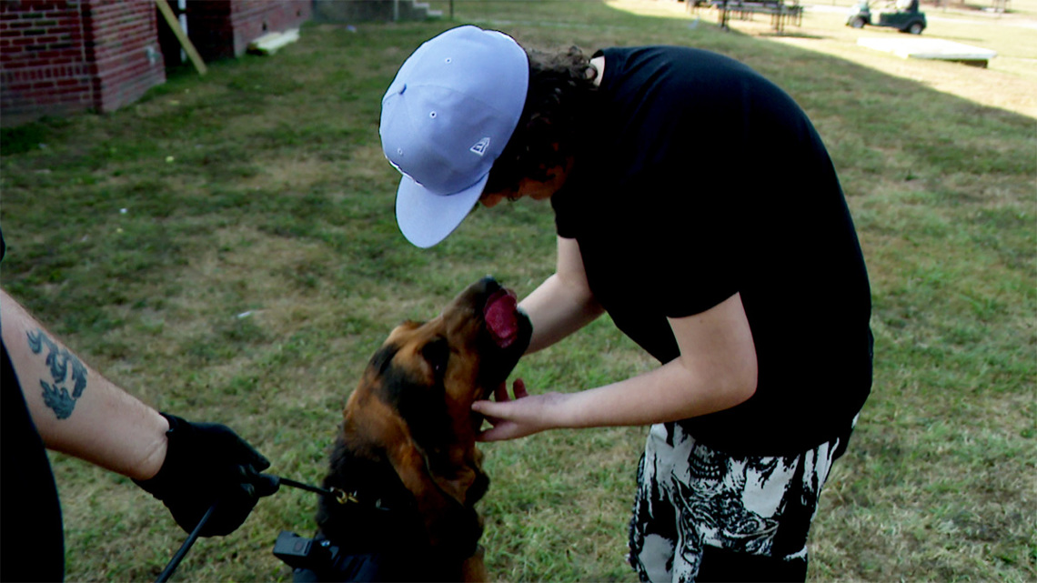 Tusk VI, the newest University of Arkansas razorback mascot ...