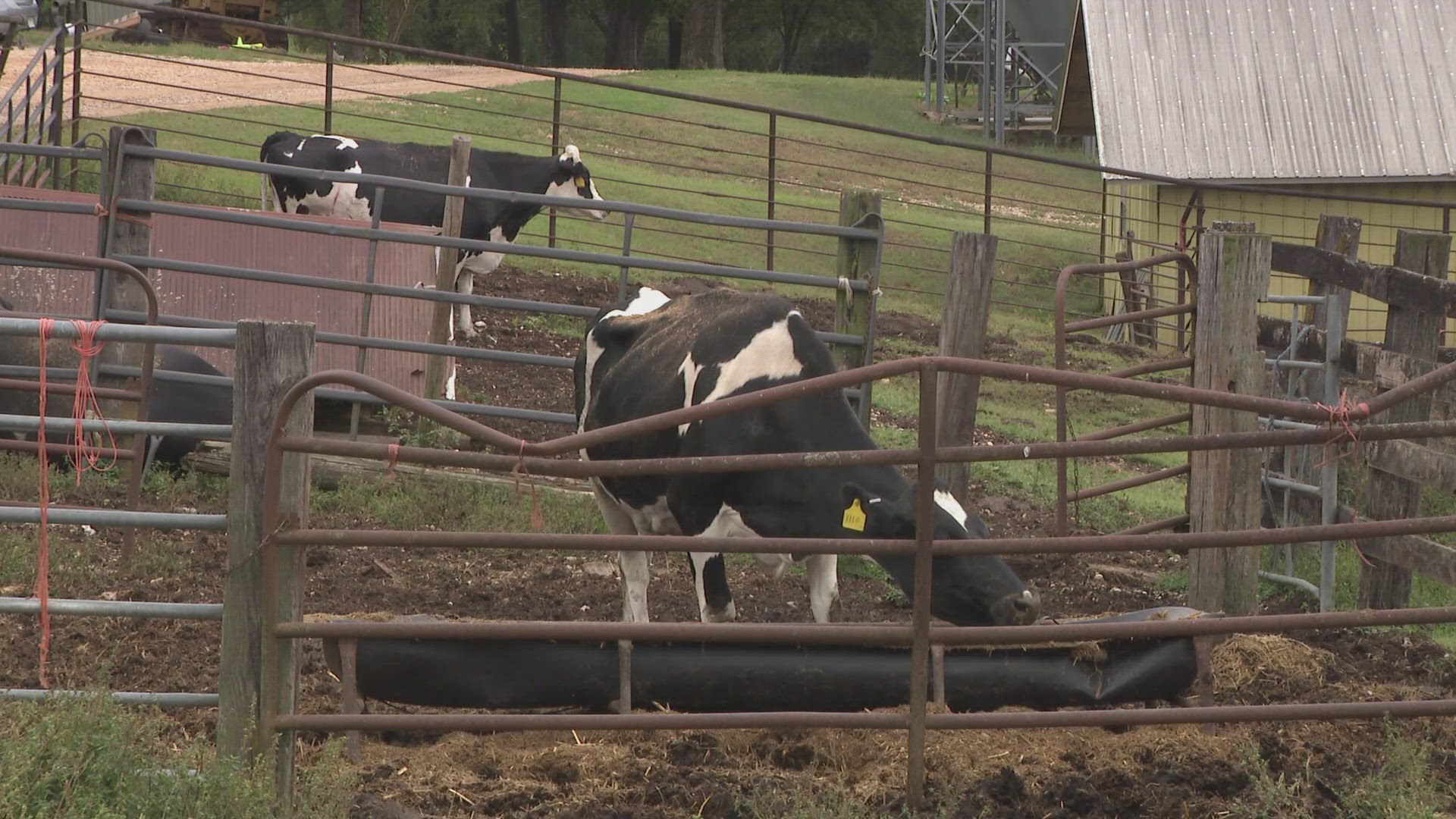 Former Memphis City Councilman Myron Lowery dies | localmemphis.com