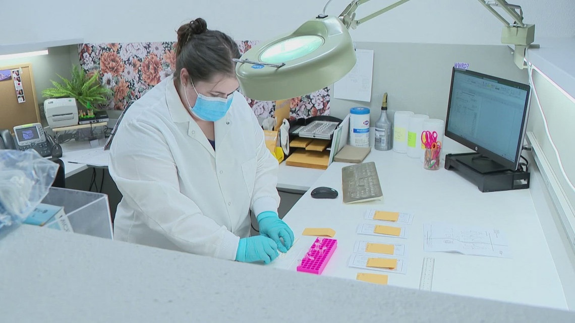 Arkansas Crime Lab sees decrease in sexual assault kit backlog ...