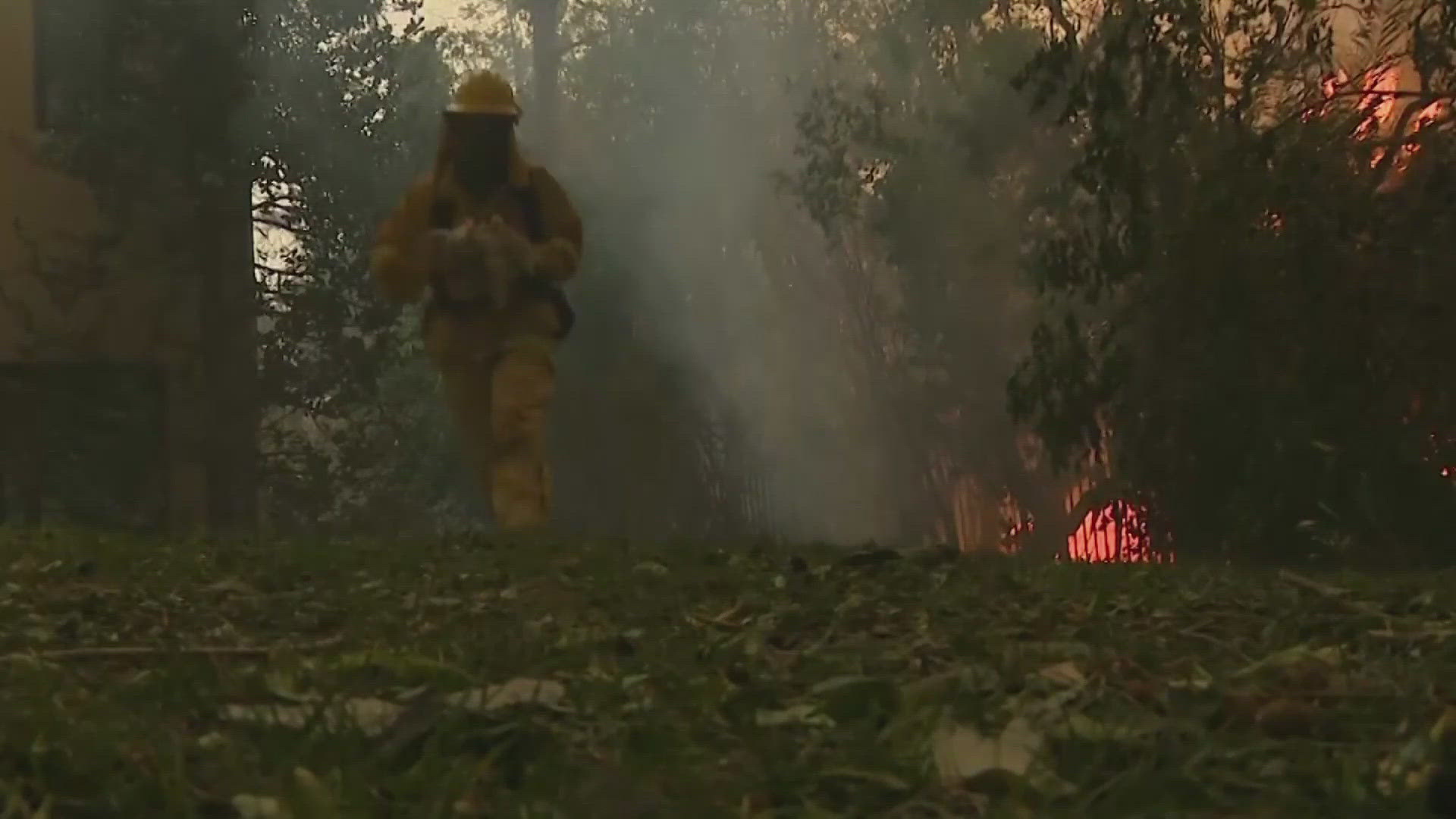 Gov. Sanders deploying Arkansas Forestry for wildfire, storm response ...