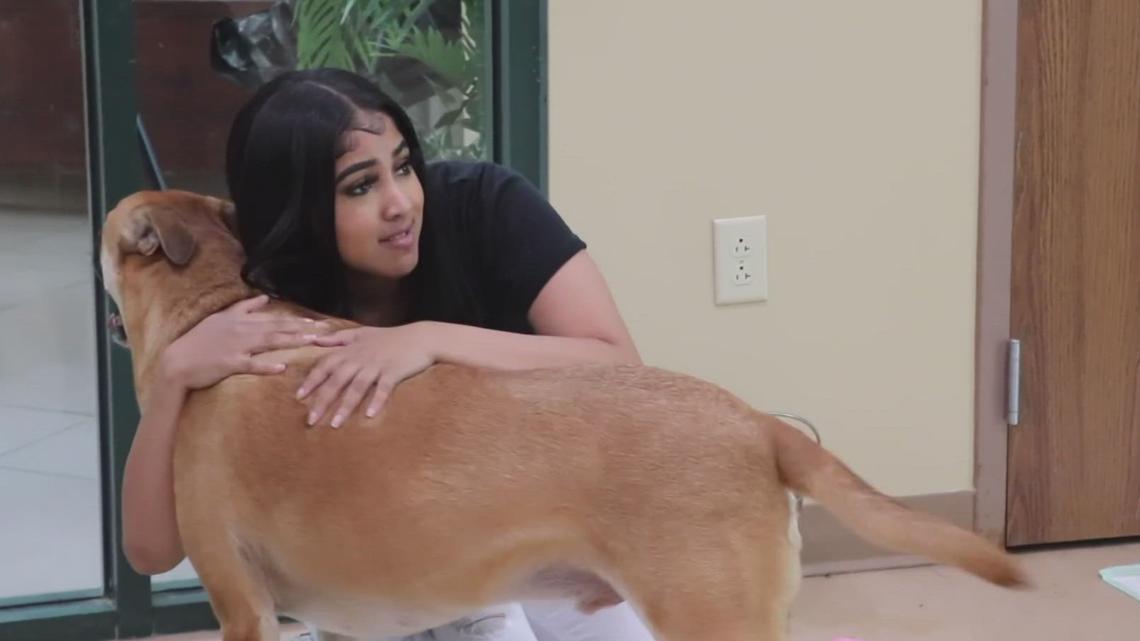 Little Rock woman and dog reunited 3-weeks after tornado | fox43.com