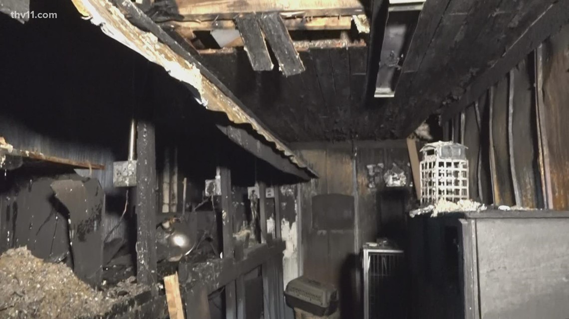 Petting zoo barn catches fire with animals inside | 5newsonline.com