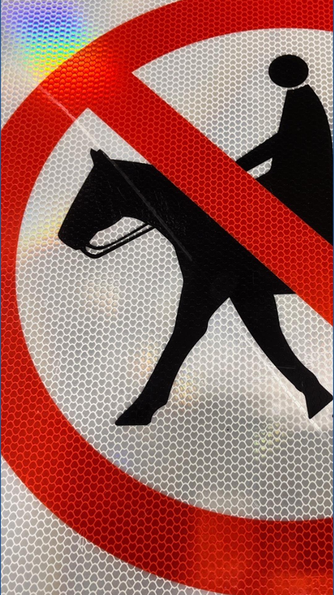 Pulaski County officials install new 'No Horses' sign for Southwest ...