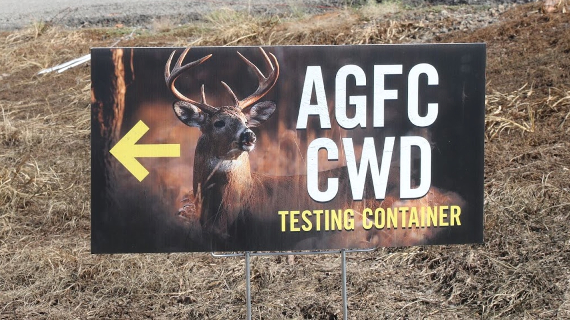 Free CWD testing available for hunter-harvested deer | 5newsonline.com