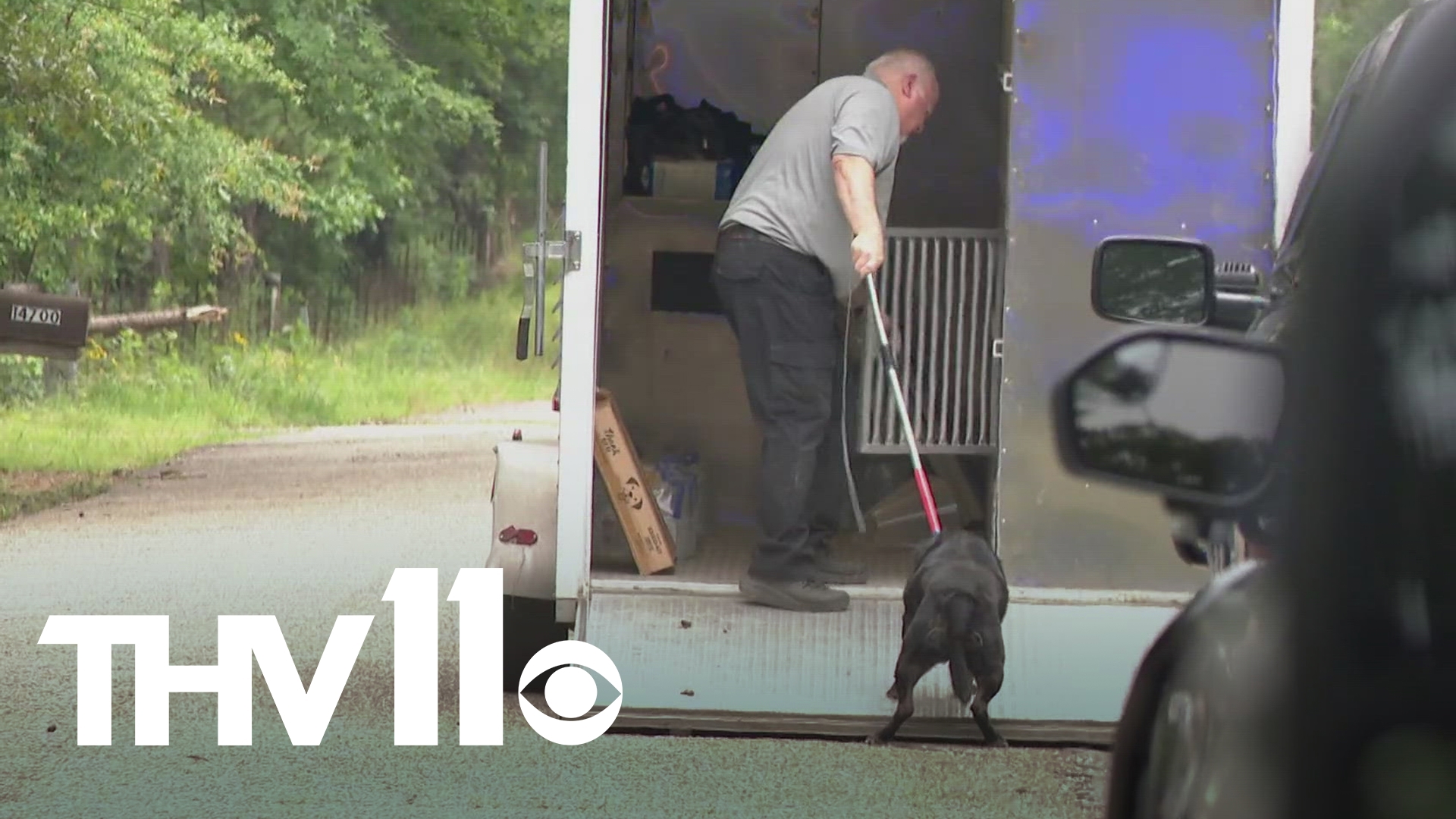 Officials share new details on deadly dog attack in Saline County ...