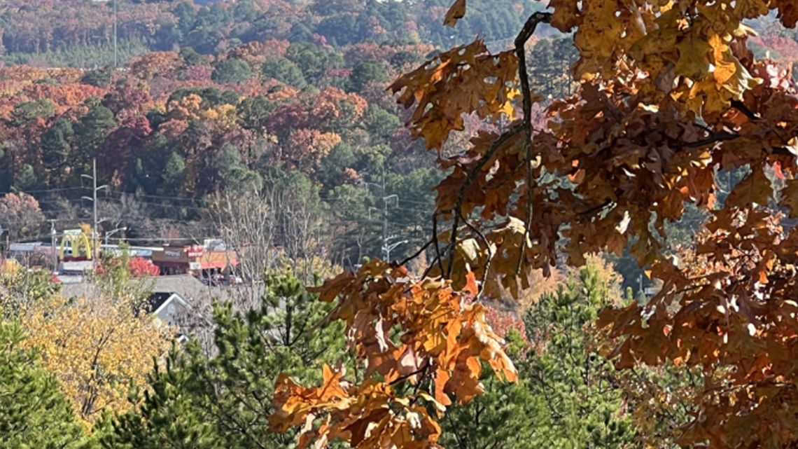 Could the recent droughts impact fall colors in Arkansas? | 5newsonline.com