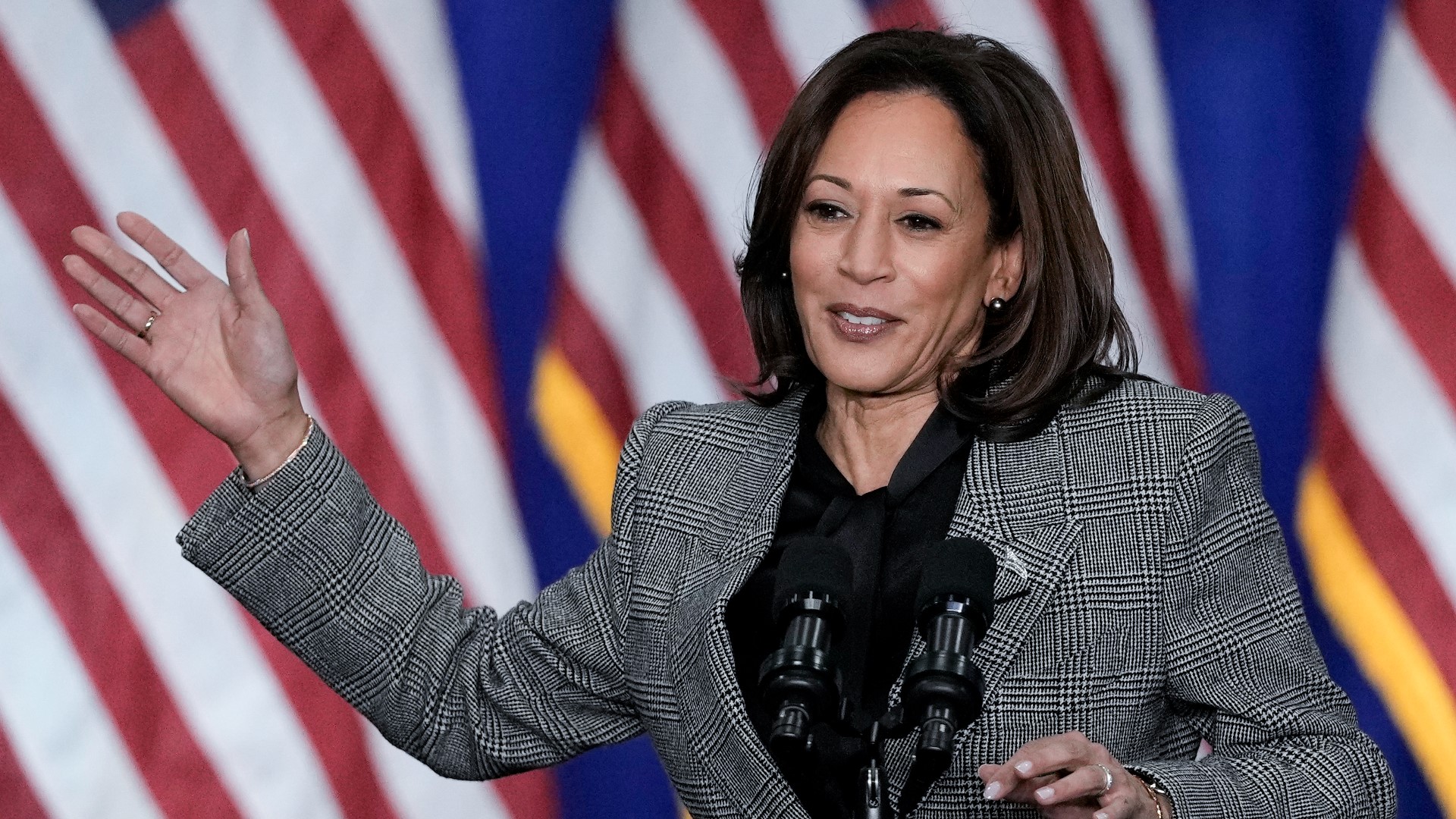 Vice President Kamala Harris wins Illinois, AP projects | wqad.com