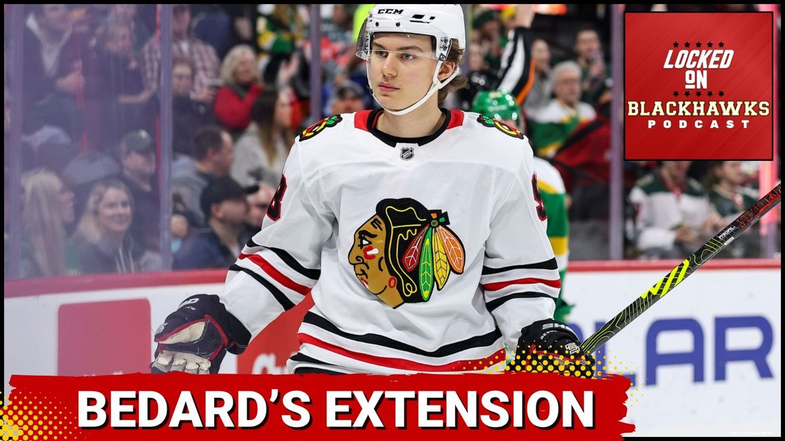 REACTION: Chicago Blackhawks Fan Survery Results | Connor Bedard ...