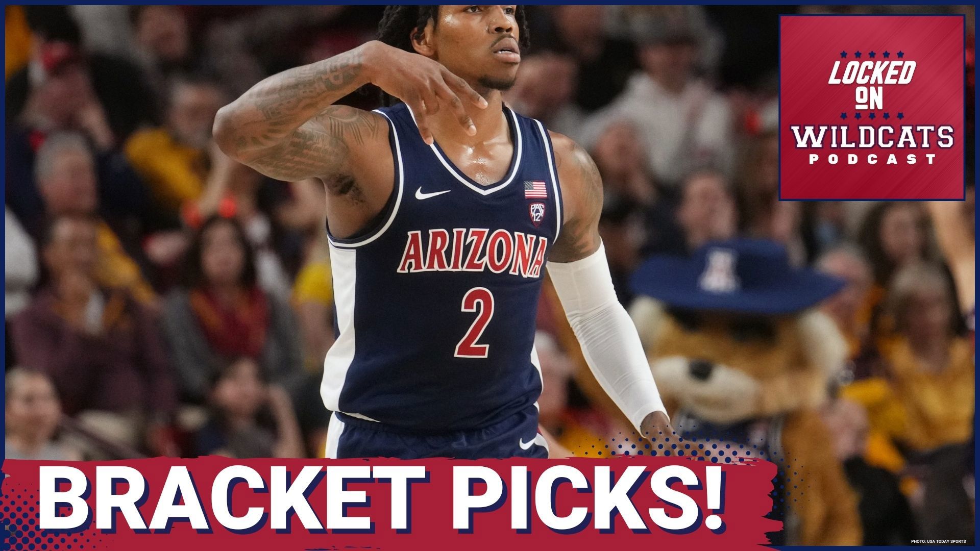 Arizona Basketball And NCAA Tournament Picks | fox61.com