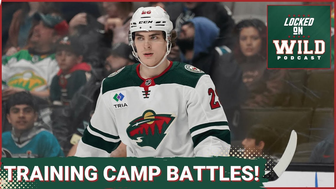 Which Spots Are Up For Grabs in Wild Training Camp This Year ...