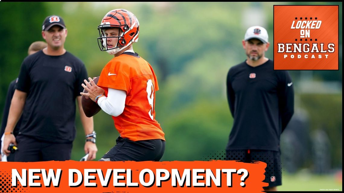 Zac Taylor & the Cincinnati Bengals Could Lose Dan Pitcher Because of ...