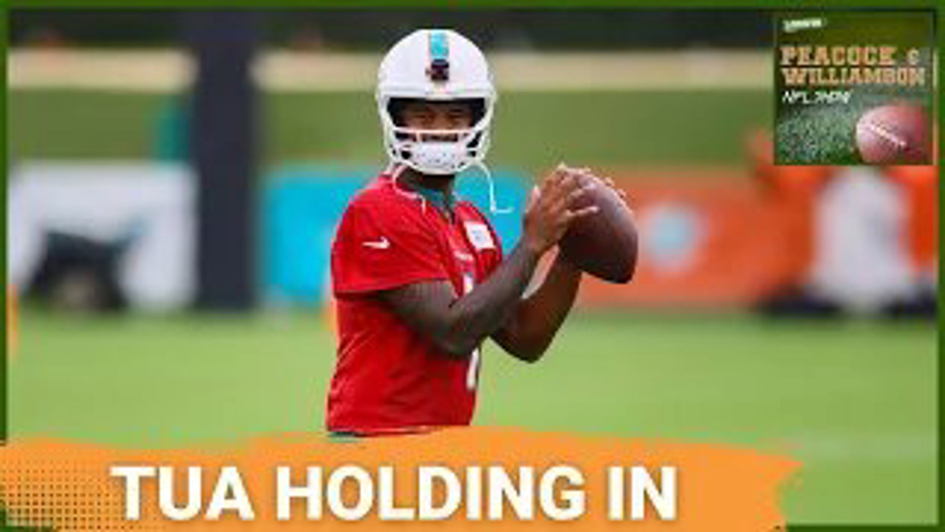 Tua Tagovailoa at Critical Point for the 2024 Miami Dolphins ...