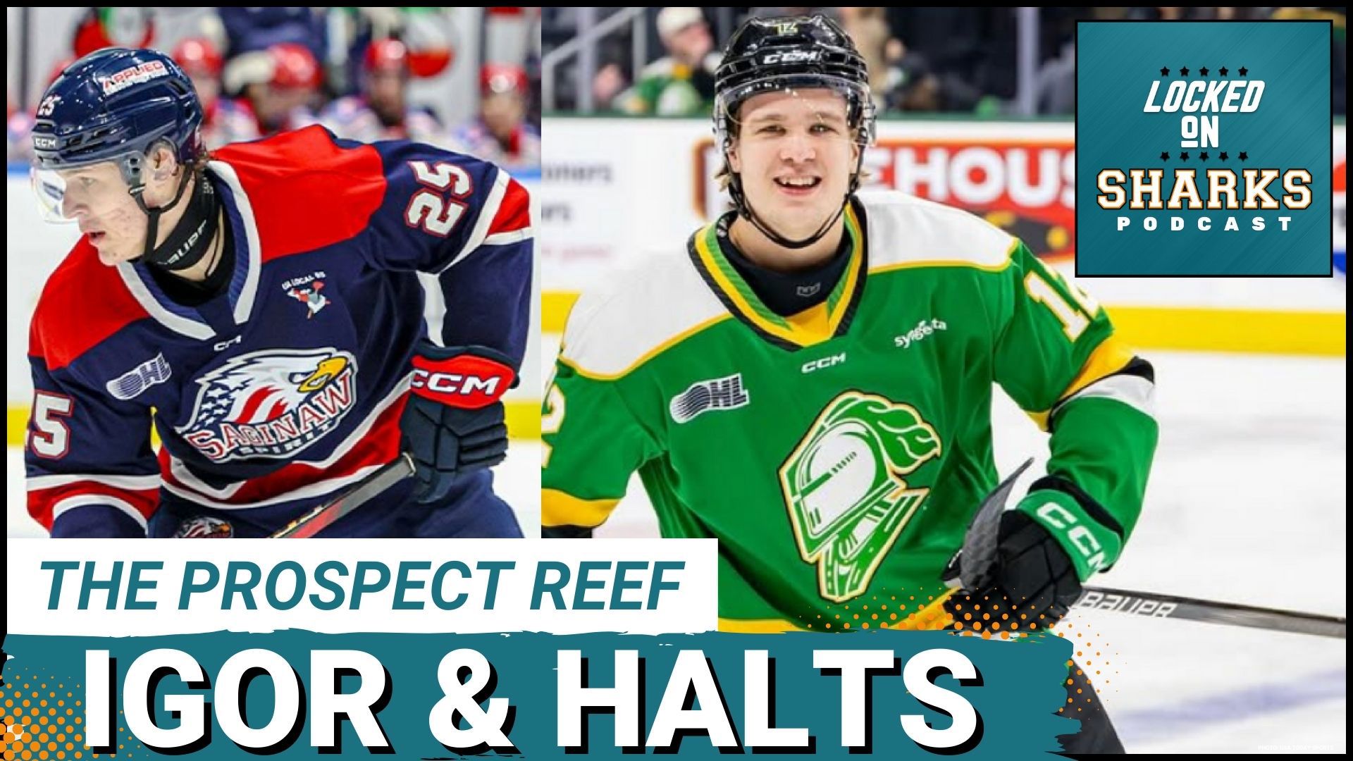 The Prospect Reef: Igor Chernyshov's OHL Development & Kasper Halttunen ...