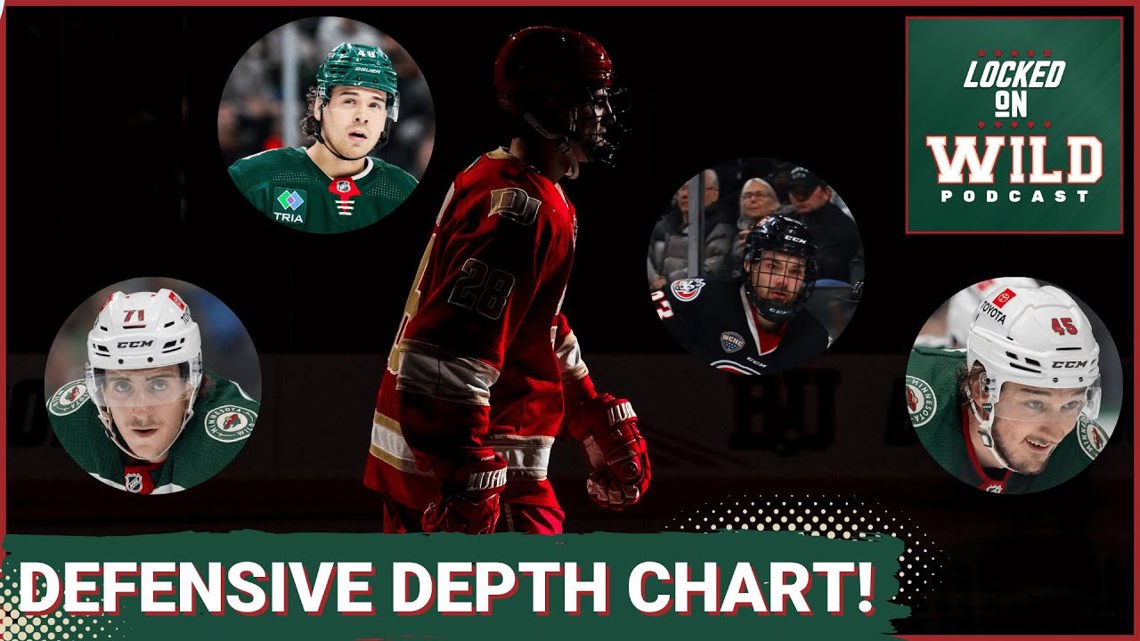 The Minnesota Wild Organizational Defensive Depth Chart ...