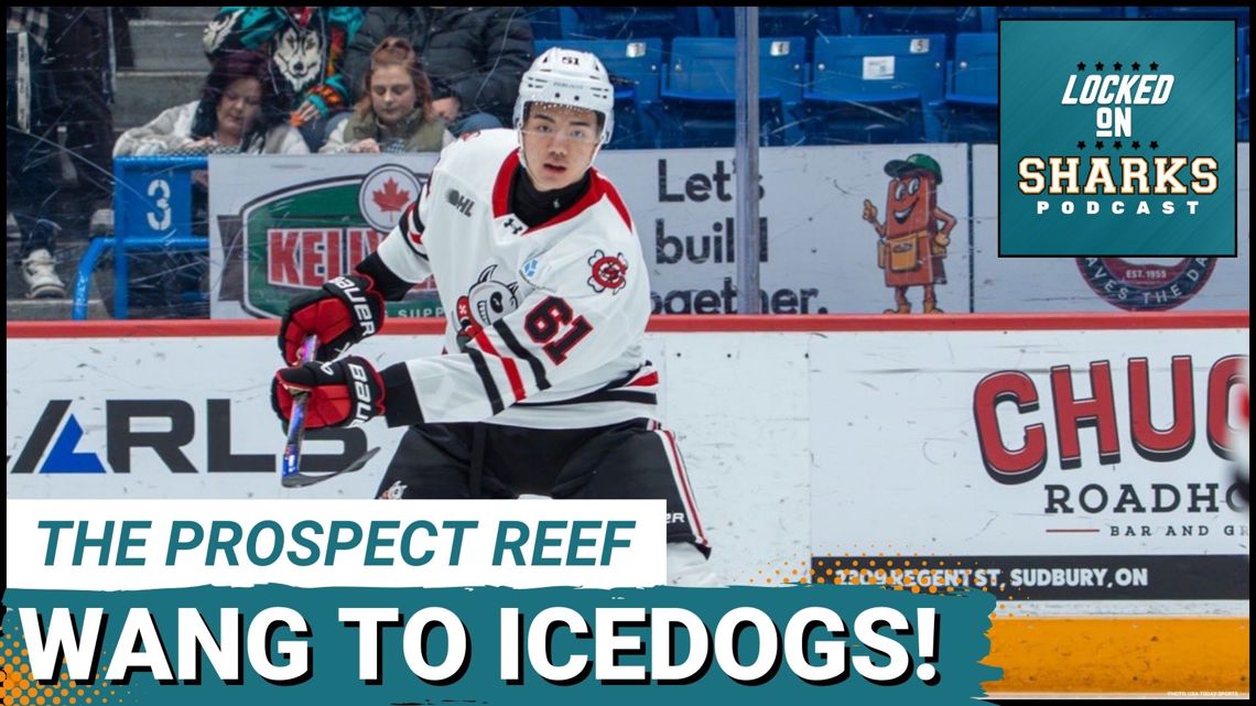 PROSPECT REEF: San Jose Sharks’ Haoxi Wang Switches Teams – Will His ...