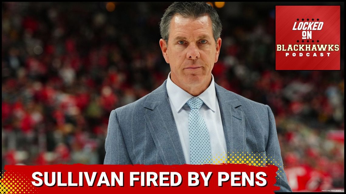 Mailbag Monday, Alex Vlasic's 2024-25 Season Recap, + Mike Sullivan ...