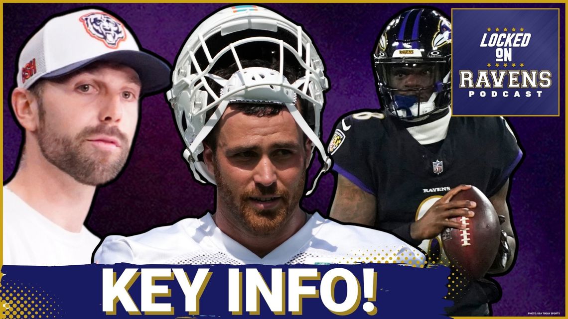 Durham Smythe reveals KEY INFO on Baltimore Ravens offense, Declan ...
