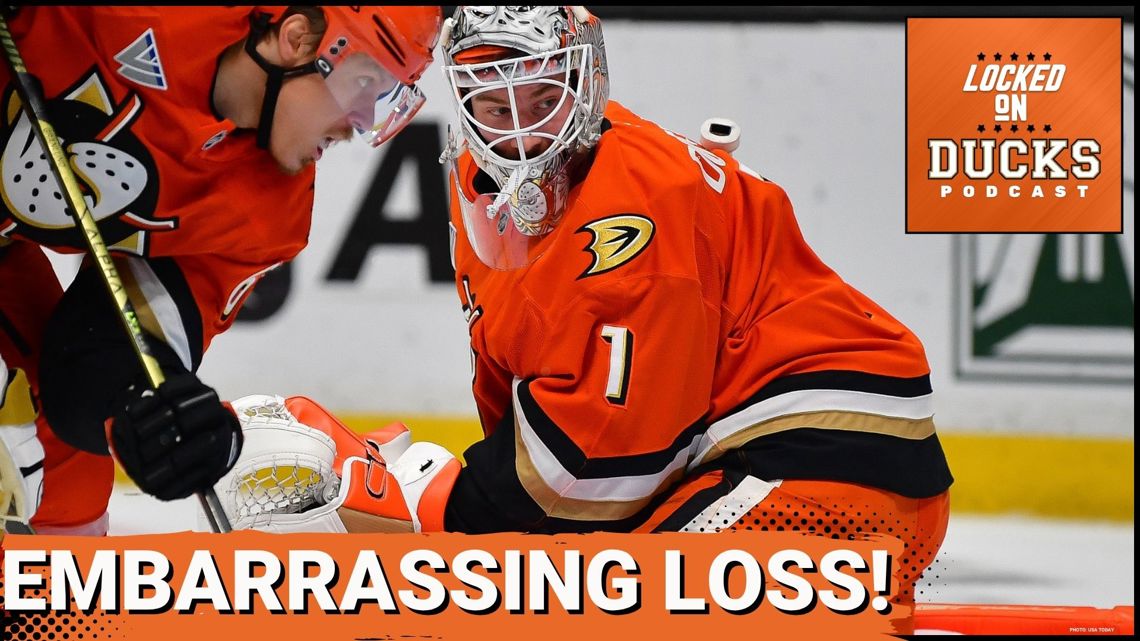SHAKEN: Anaheim Ducks and Lukáš Dostál UNRAVEL, Vegas Golden Knights ...