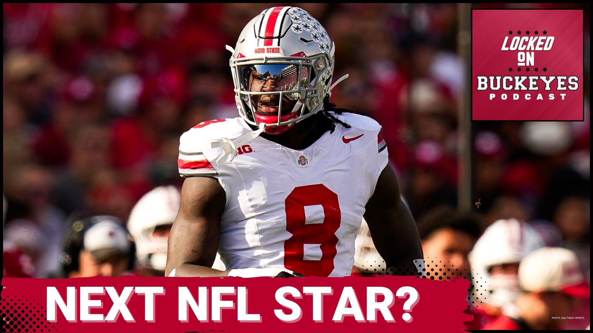 SENSATION: Ohio State Star Arvell Reese Outshines NFL Draft Class ...