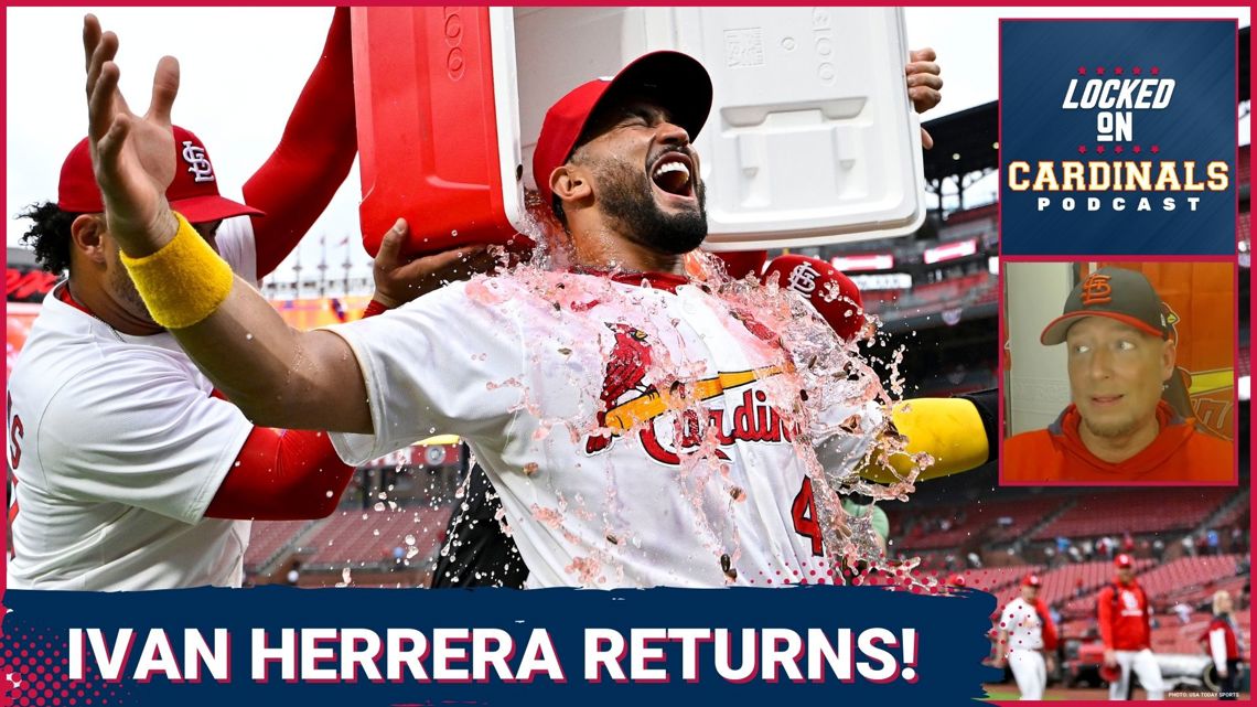 Ivan Herrera Is Back In The St. Louis Cardinals Lineup | Trading Nolan Arenado And Ryan Helsley ...