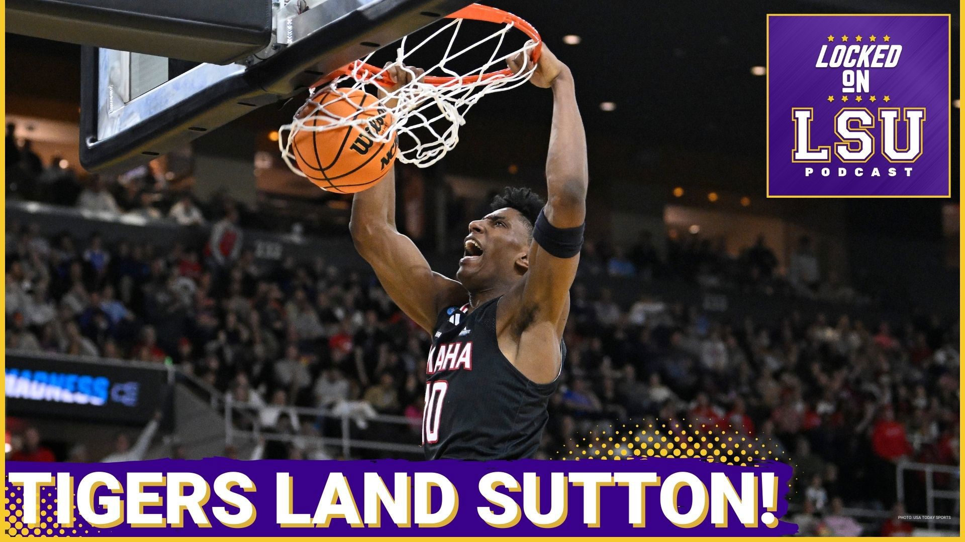 LSU Lands PLAYER OF THE YEAR! Who Is Next? Are Tigers Legit Contenders ...