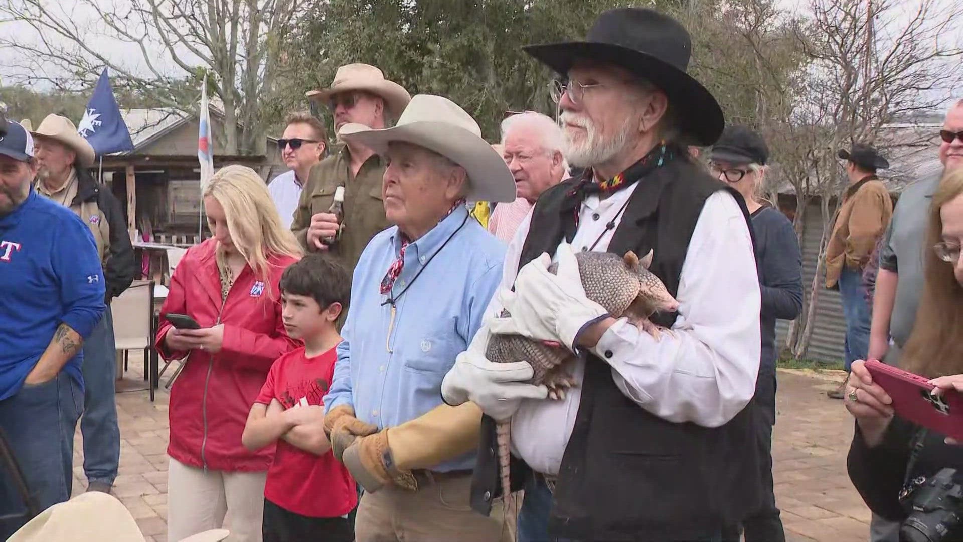 Where are armadillos in Indiana? | wthr.com