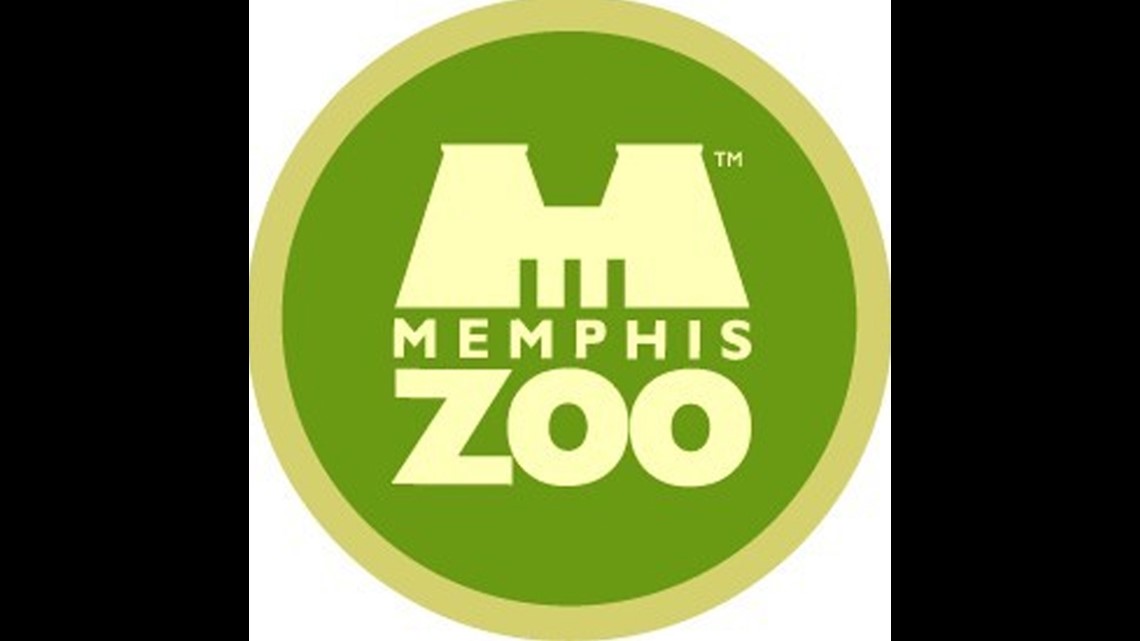 Memphis Zoo announces Jim Dean as new President & CEO | localmemphis.com