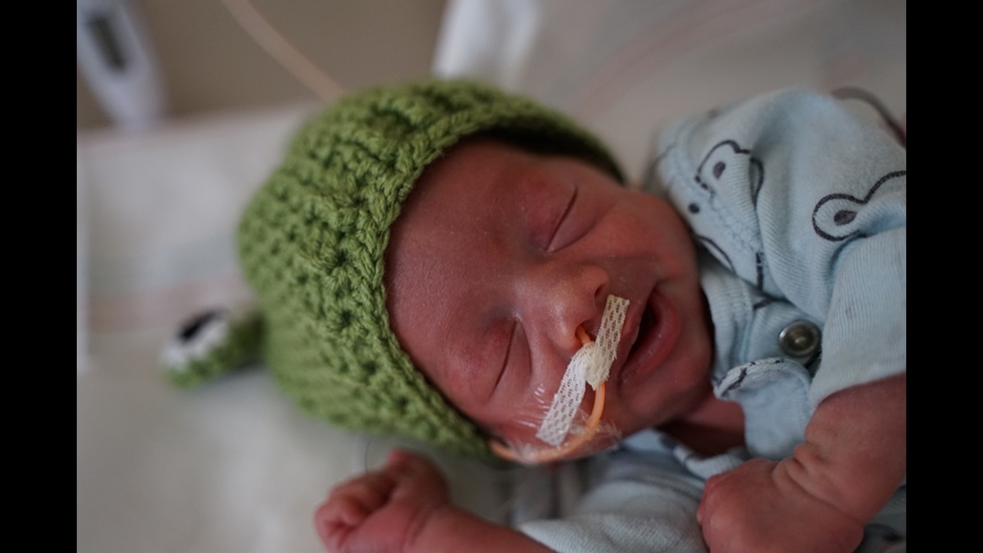 NICU babies dressed as frogs for Leap Day at Regional One Health ...