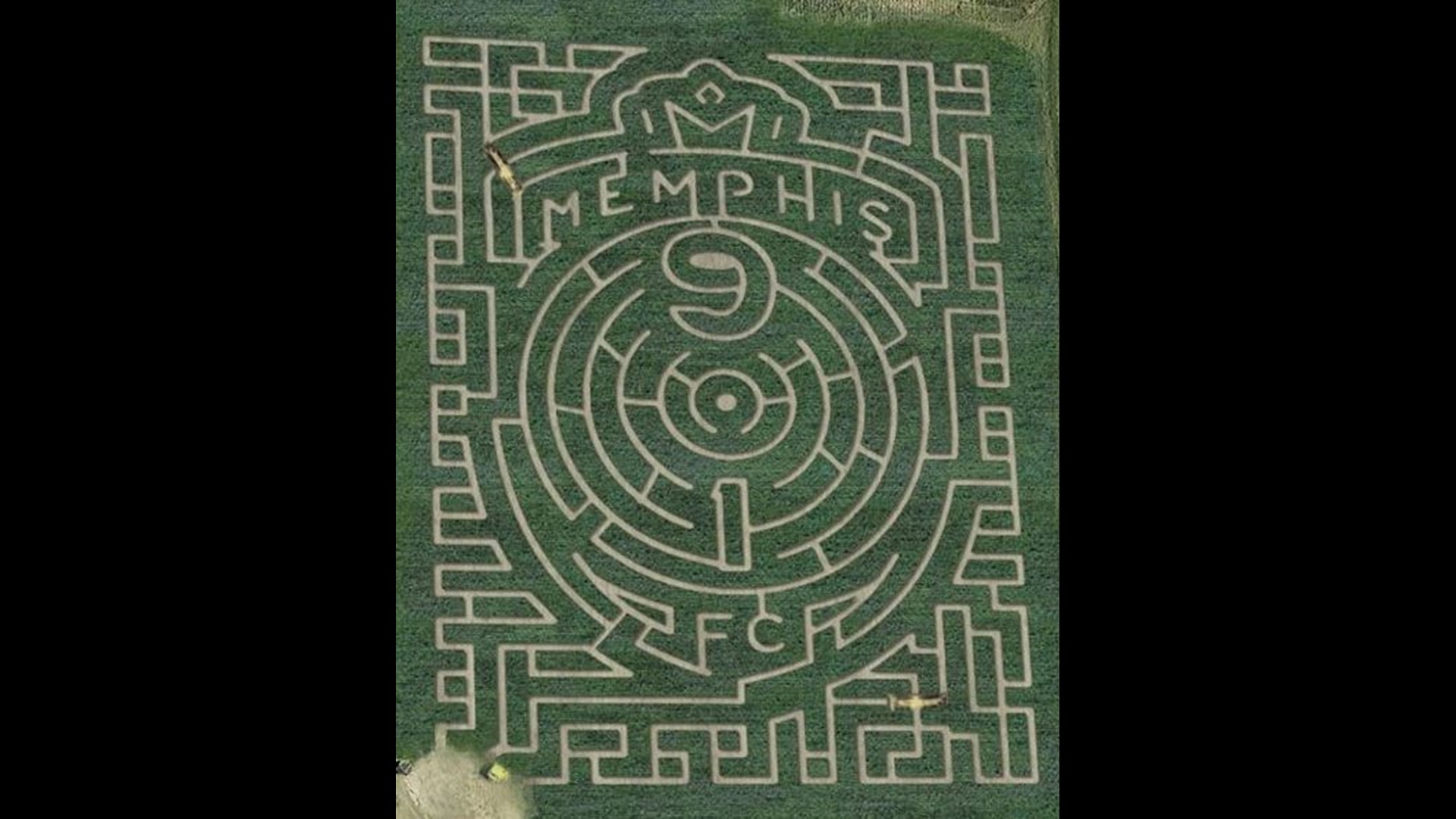 Get lost in The Mid-South Maze at the Agricenter International ...