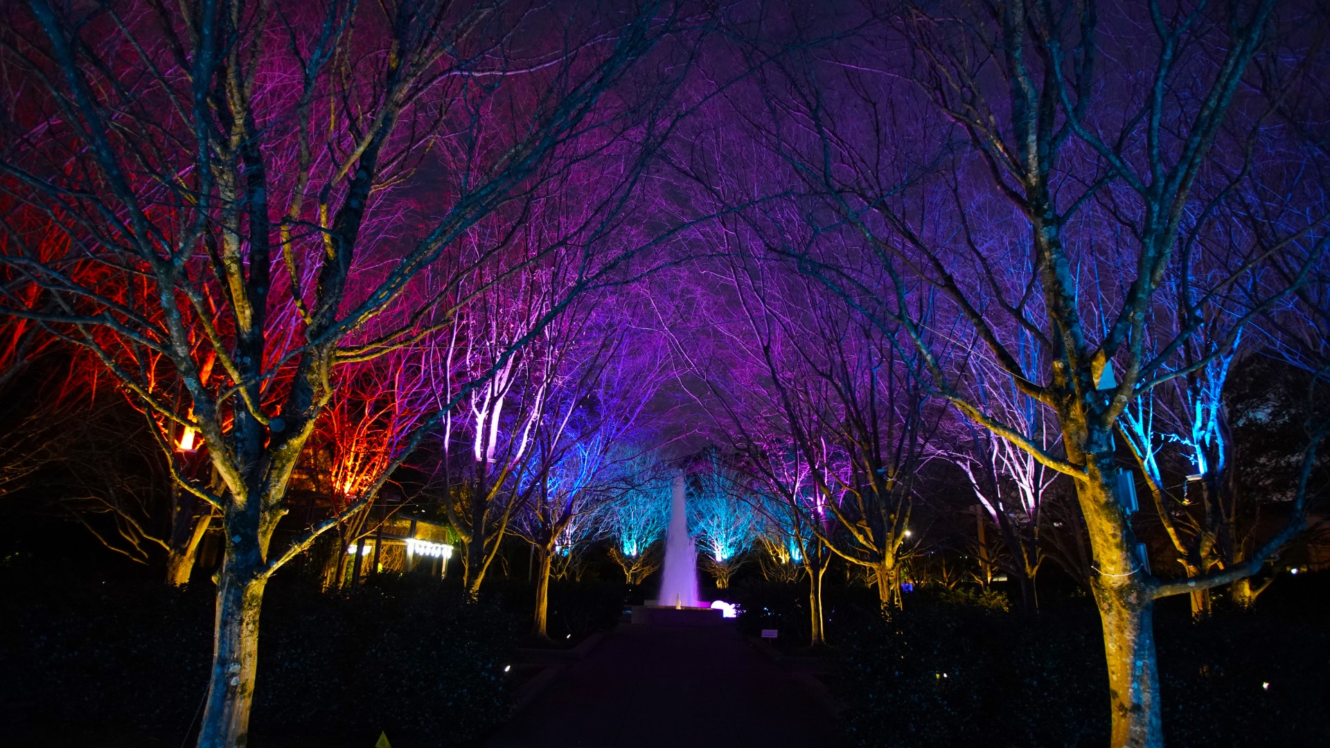 Memphis Botanic Garden's annual Holiday Wonders at the Garden ...
