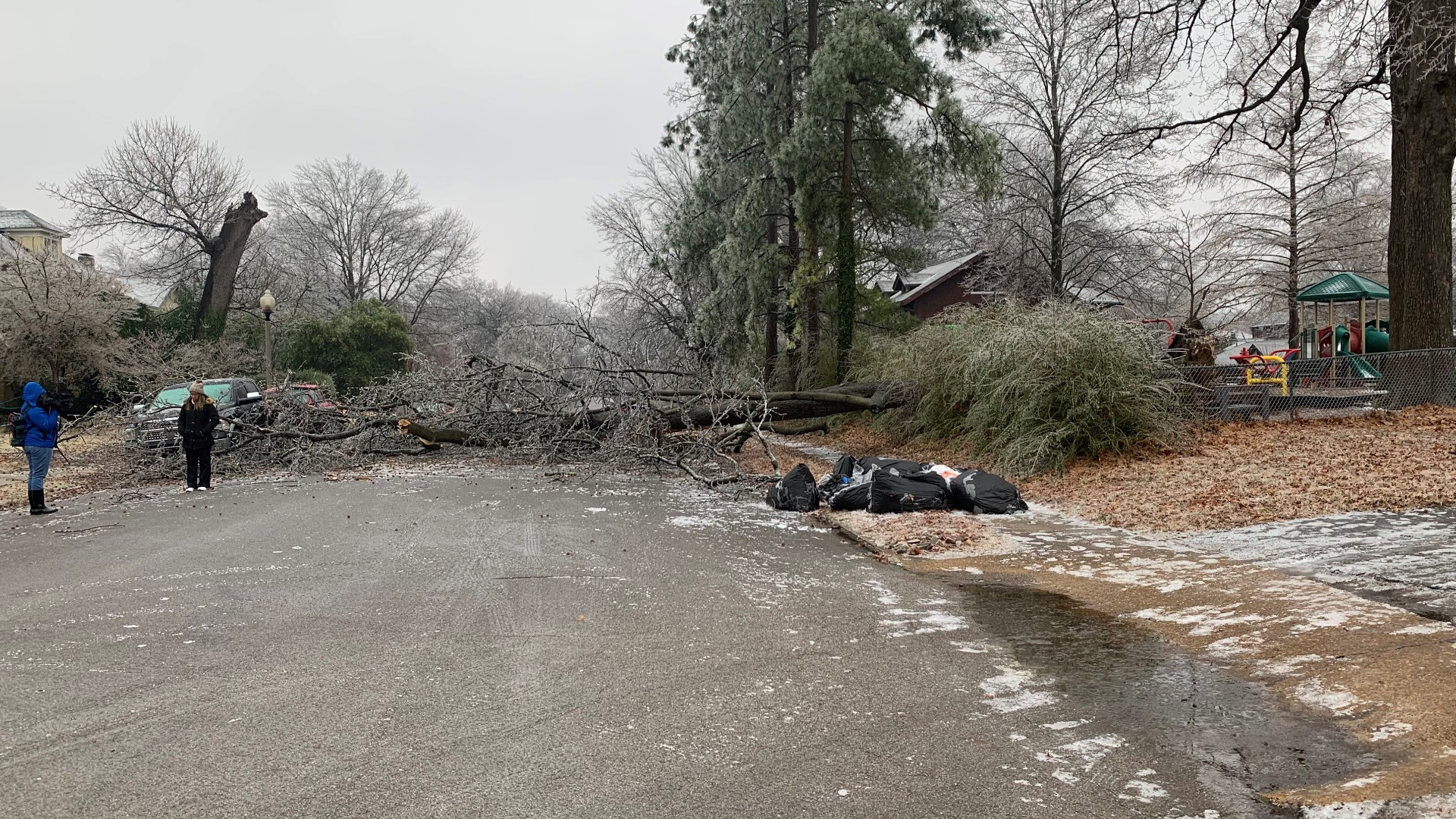 Memphis ice storm damage | localmemphis.com