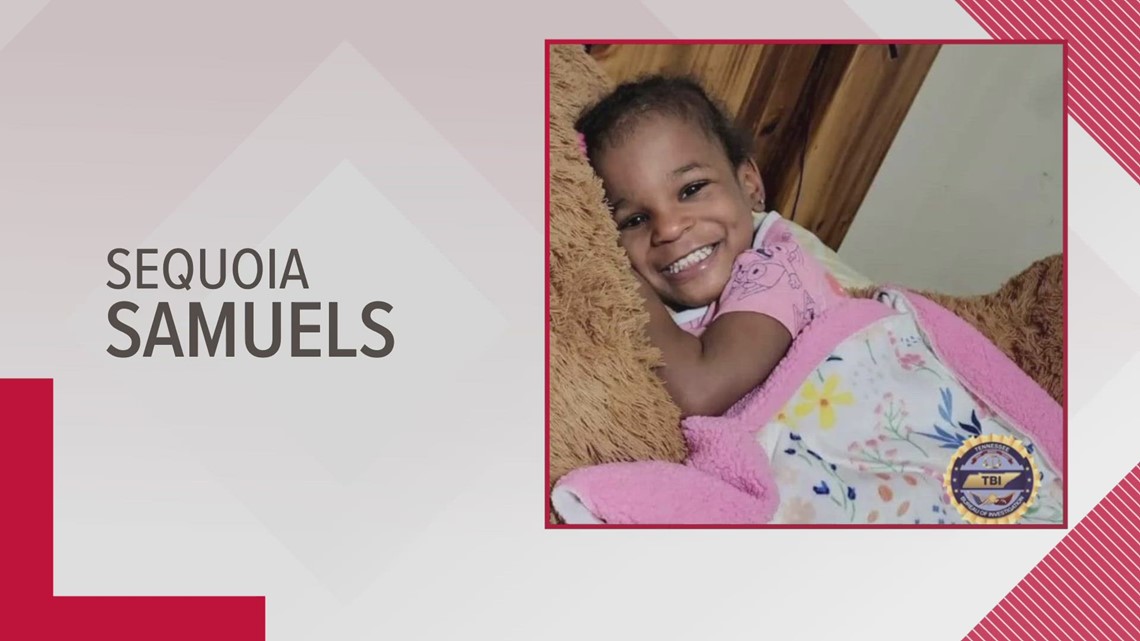 Community out in force searching for missing 4-year-old Sequoia Samuels ...