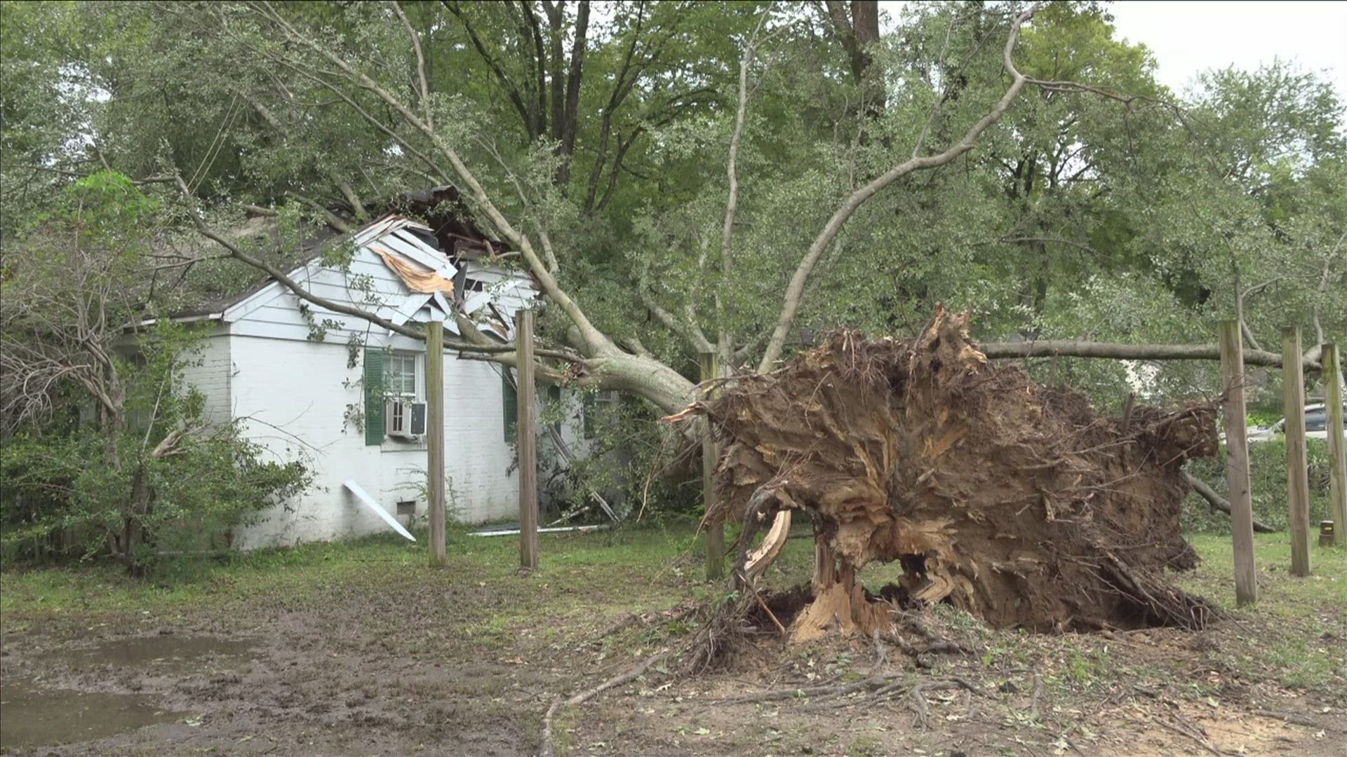 Memphis family grateful to be alive after trees destroy home and cars ...