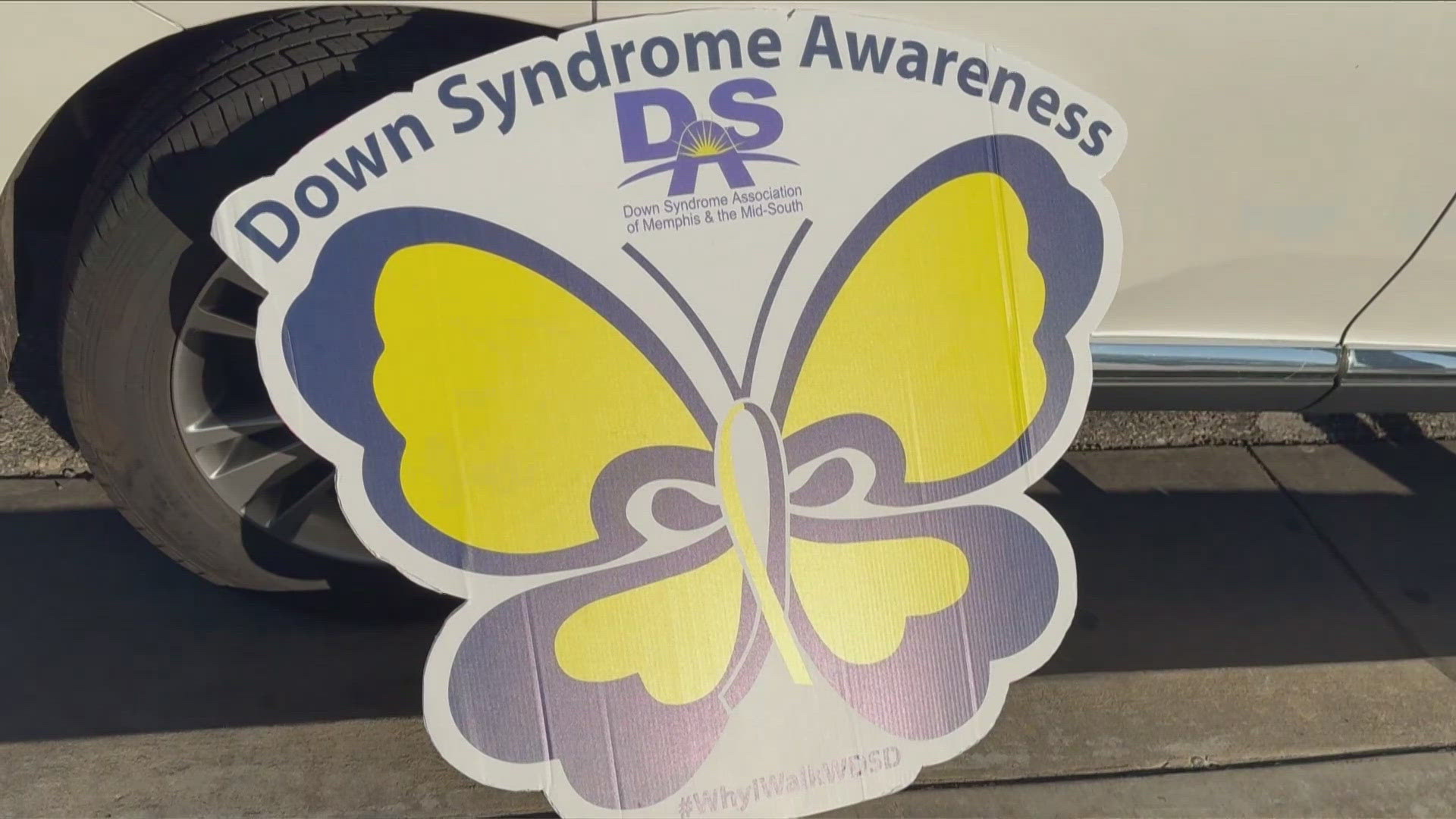 Walkin' in Memphis: Down Syndrome Annual Awareness Walk | localmemphis.com
