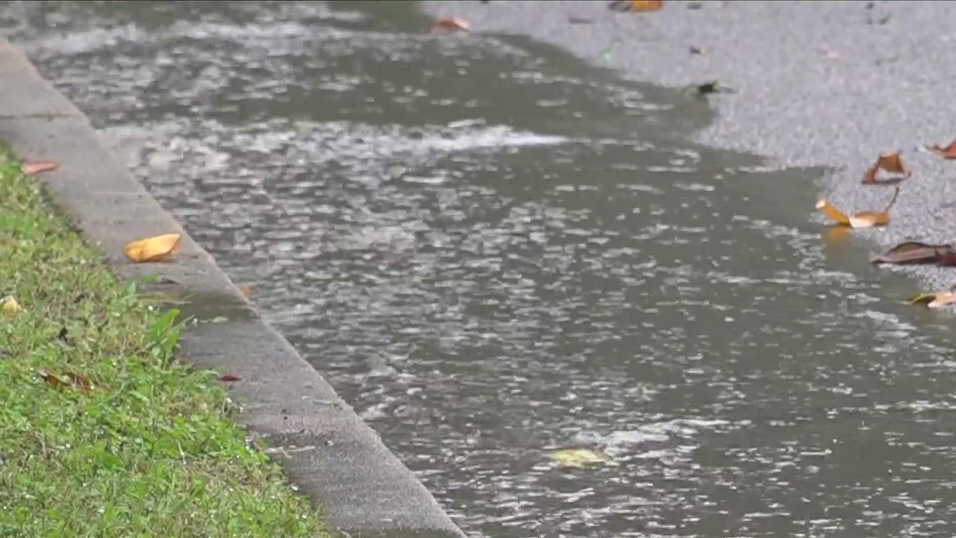 Mid-South Fair closed due to remnants of Hurricane Helene | localmemphis.com