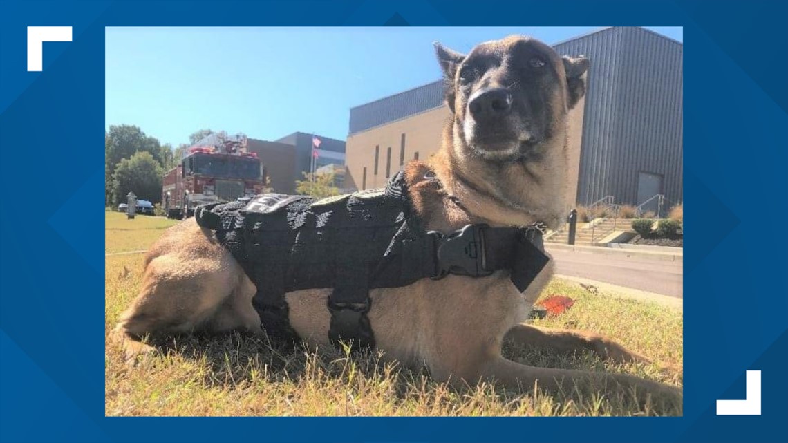 Germantown Police mourn sudden loss of K9 dog Jinx | localmemphis.com