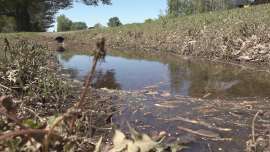 CW30 | Memphis, TN | WATN | localmemphis.com