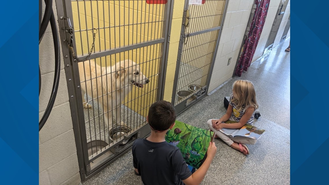 So sweet seeing kids helping in their community animal shelter ...