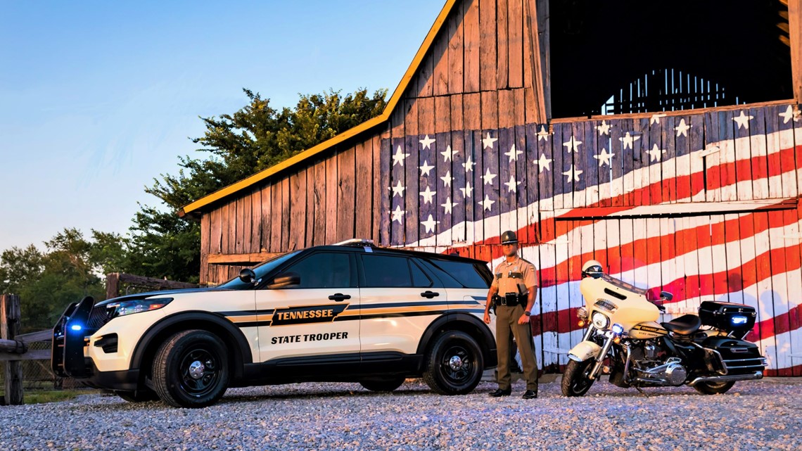 Memphis Task Force Issues 4,100 Citations following new ordinance ...