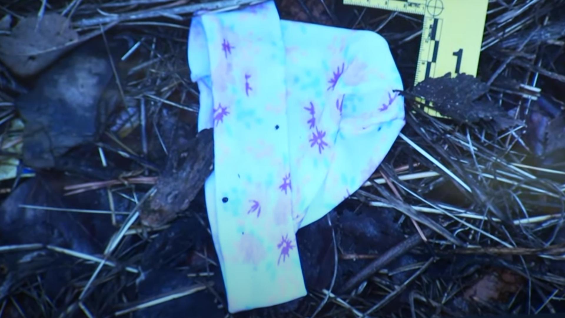 Jury hears Brandon Isabelle's confession and details on the search for ...