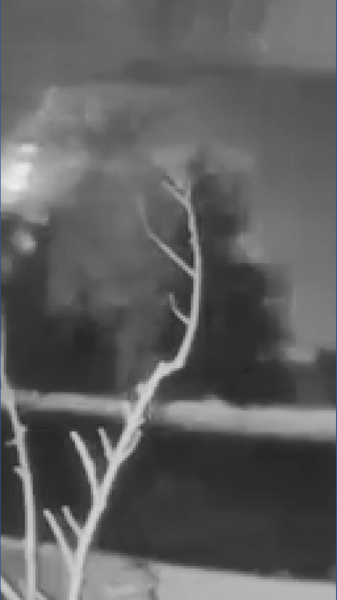 Doorbell camera captures bright fireball over North Mississippi ...