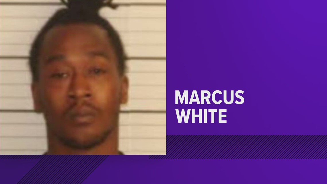 Man arrested for Memphis Airport incident where two police officers were hit by car ...