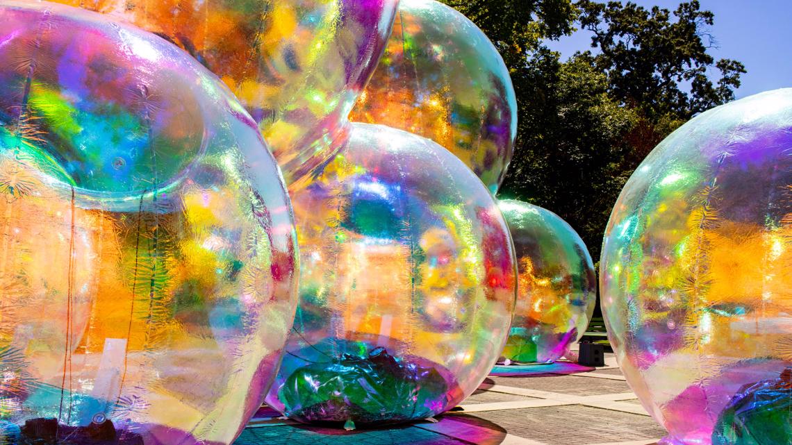 New outdoor exhibit opens at Memphis Museum | localmemphis.com