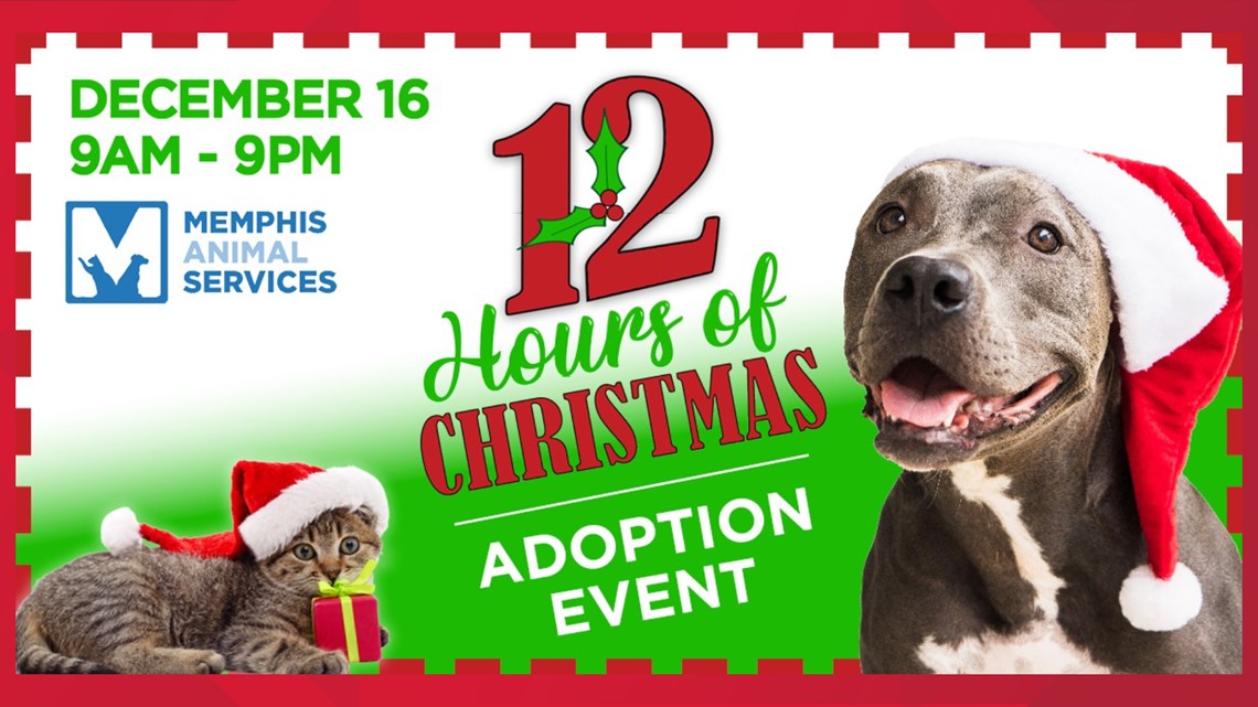 MAS' 12 Hours of Christmas adoption event | localmemphis.com